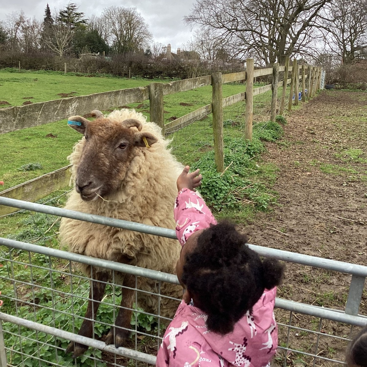 EYFS visit to Sacrewell Farm - Woodston Primary School